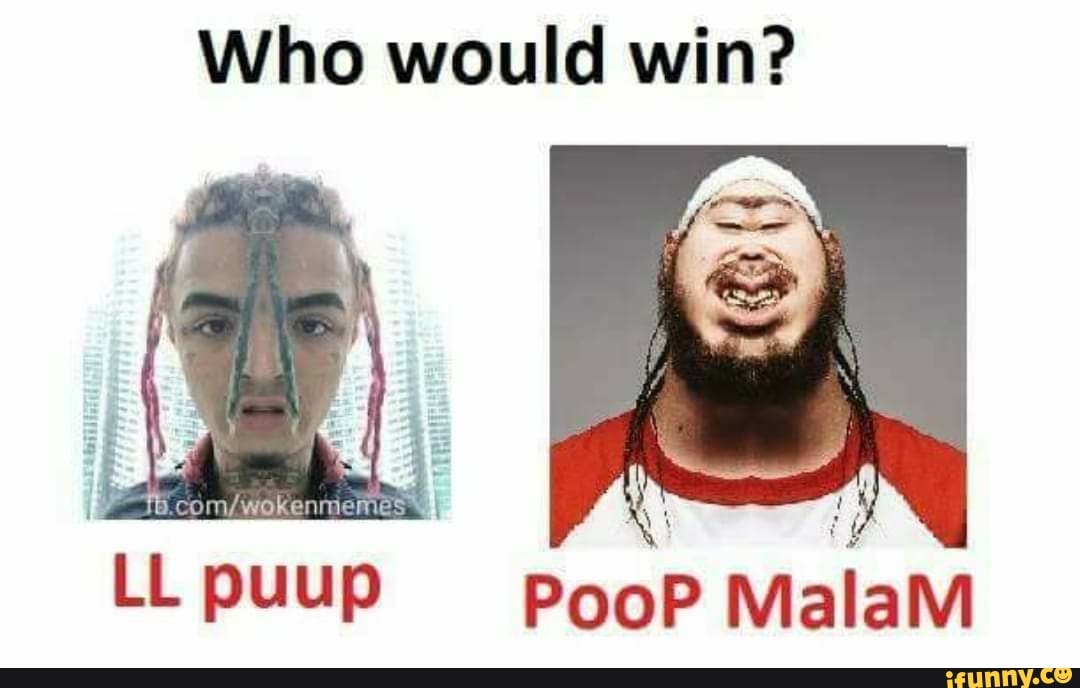 Puup memes. Best Collection of funny Puup pictures on iFunny