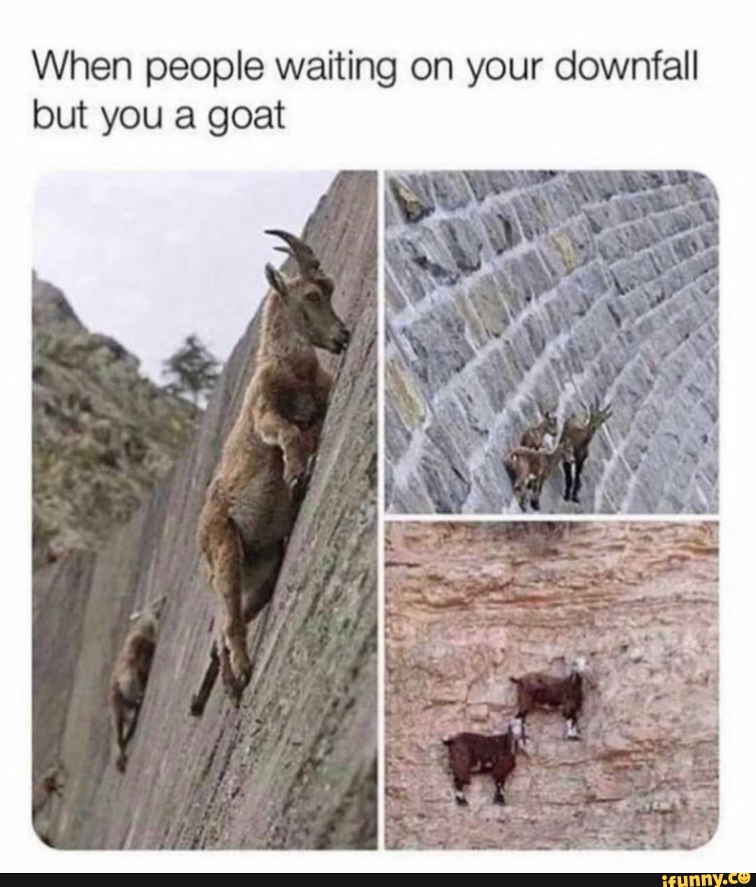 When people waiting on your downfall but you a goat - iFunny
