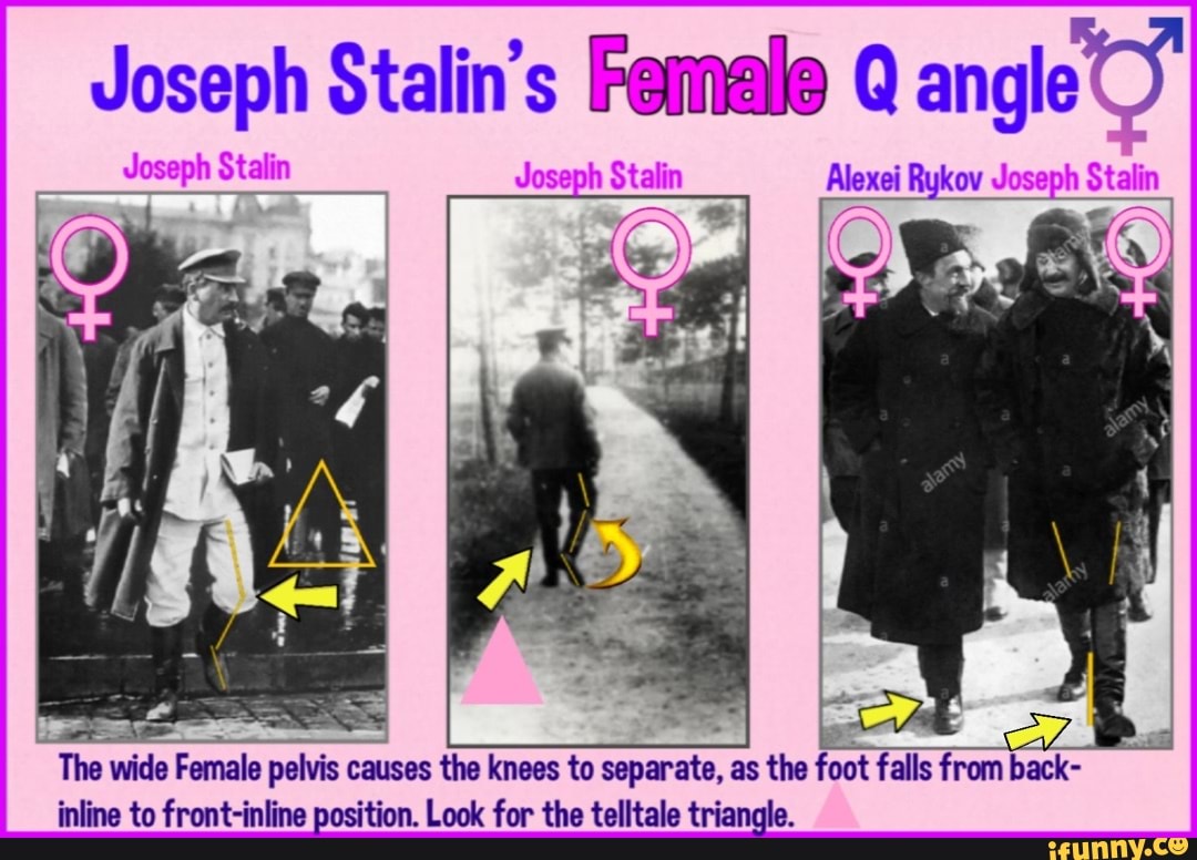 Joseph Stalin's Female Q angle Joseph Stalin Joseph Stalin Alexei Rykov ...