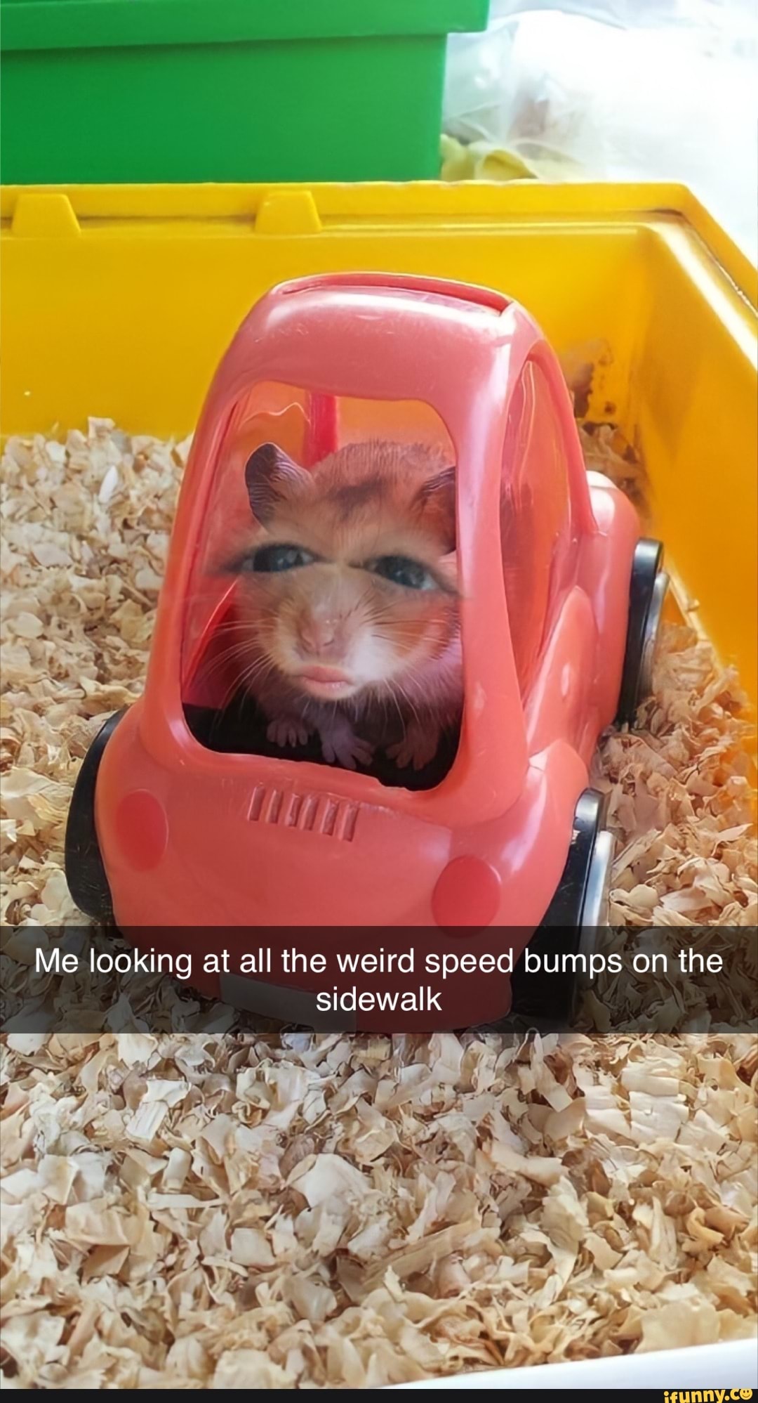 Peak humor - Me looking at all the weird speed bumps on the sidewalk ...