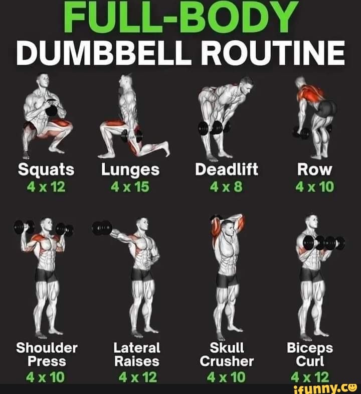 FULL-BODY DUMBBELL ROUTINE Squats Shoulder Press Lunges ad Lateral ...