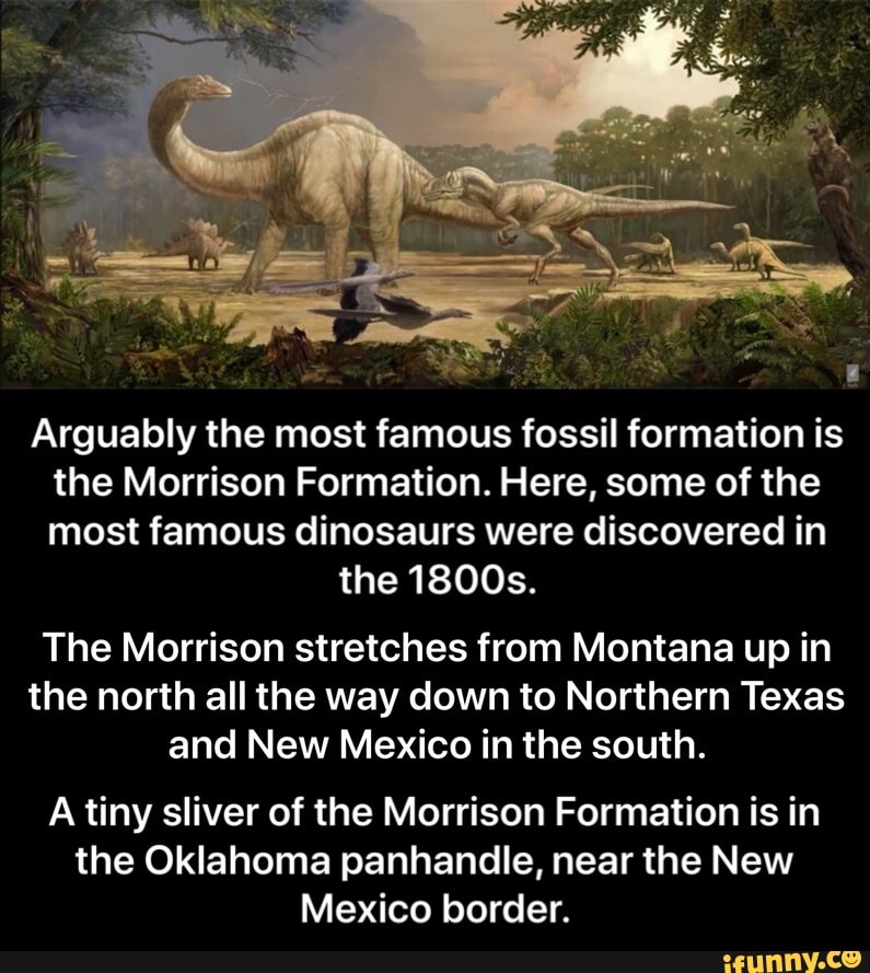 Arguably the most famous fossil formation is the Morrison Formation ...