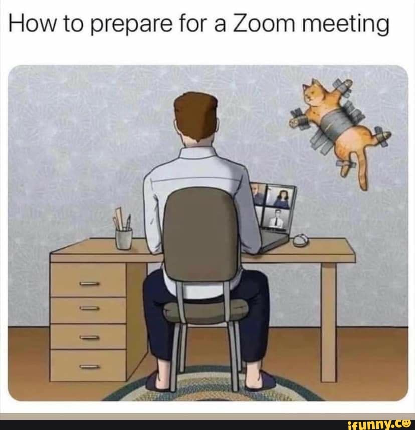 How to prepare for a Zoom meeting - iFunny