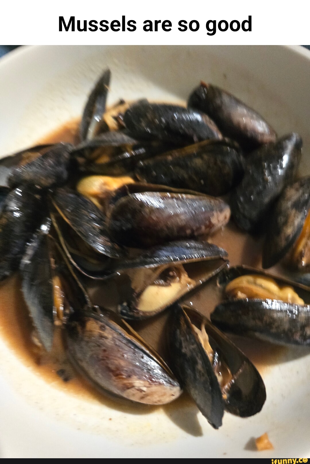 Mussels memes. Best Collection of funny Mussels pictures on iFunny