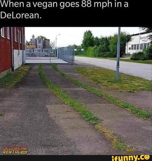 When a vegan goes 88 mpn ina DeLorean. - iFunny