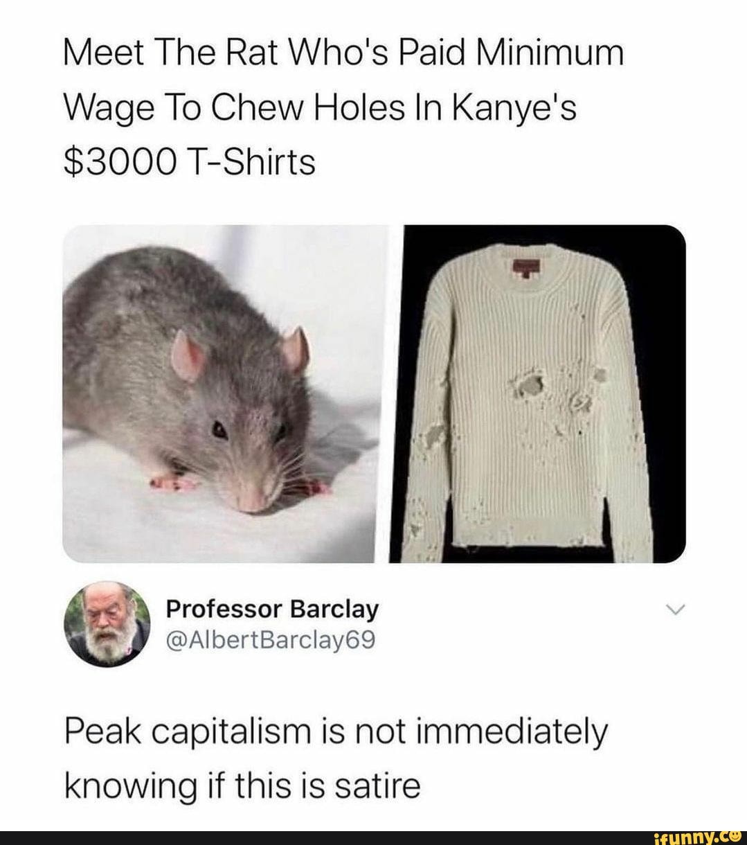 Friday meme dump! - Meet The Rat Who's Paid Minimum Wage To Chew Holes ...