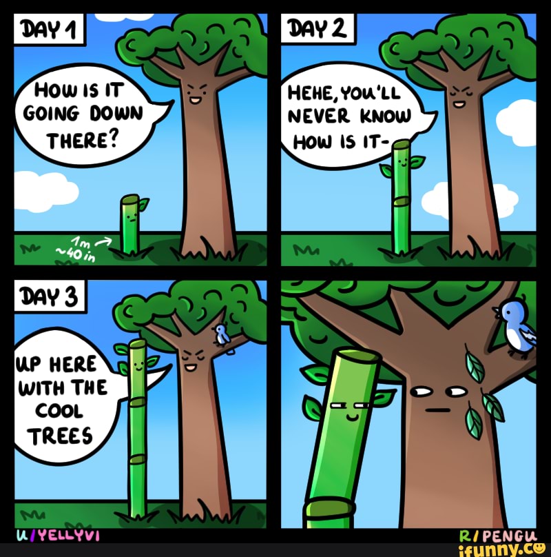 Bamboos memes. Best Collection of funny Bamboos pictures on iFunny