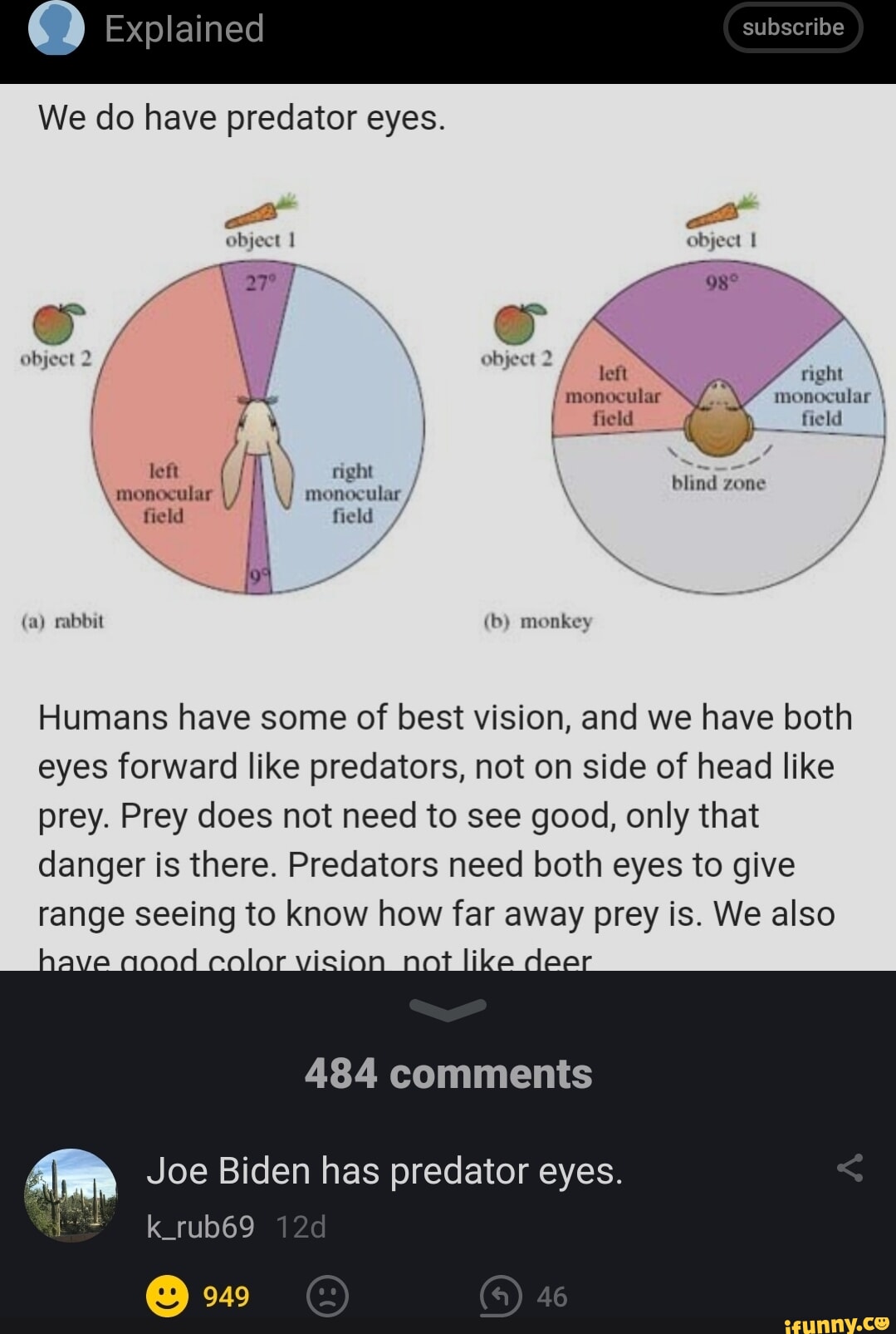 Explained We do have predator eyes. subscribe object I object I I ...