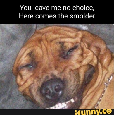 Smolder memes. Best Collection of funny Smolder pictures on iFunny