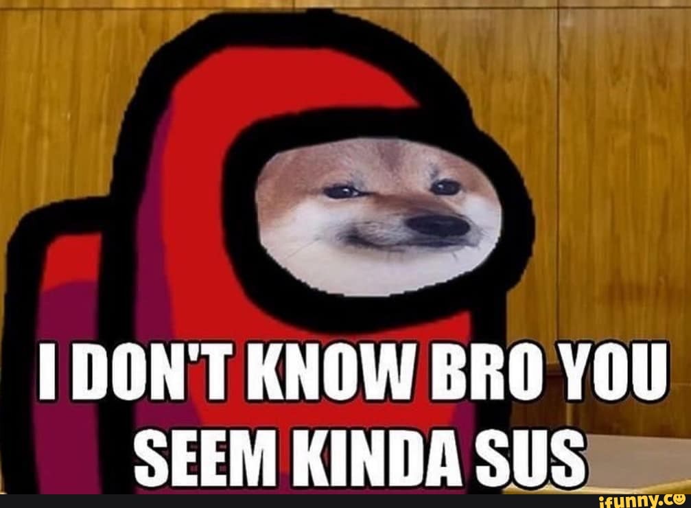 DON'T KNOW BRO YOU SEEM KINDA SUS - iFunny