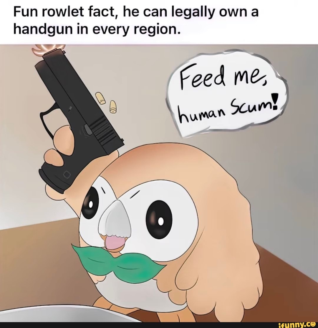 Fun rowlet fact, he can legally own handgun in every region. Feed me ...