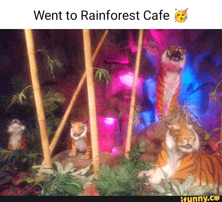 Rainforest memes. Best Collection of funny Rainforest pictures on iFunny