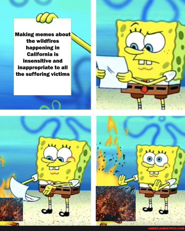 Making memes about the wildfires happening in California is insensitive ...