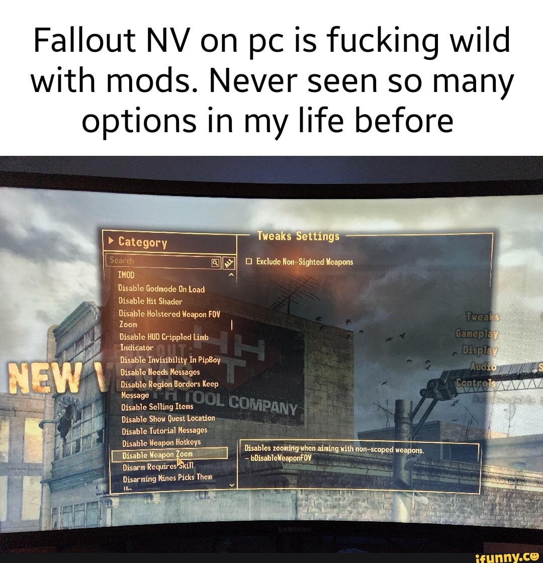 Fallout NV on pc ts fucking wild with mods. N ever seen SO Many options ...