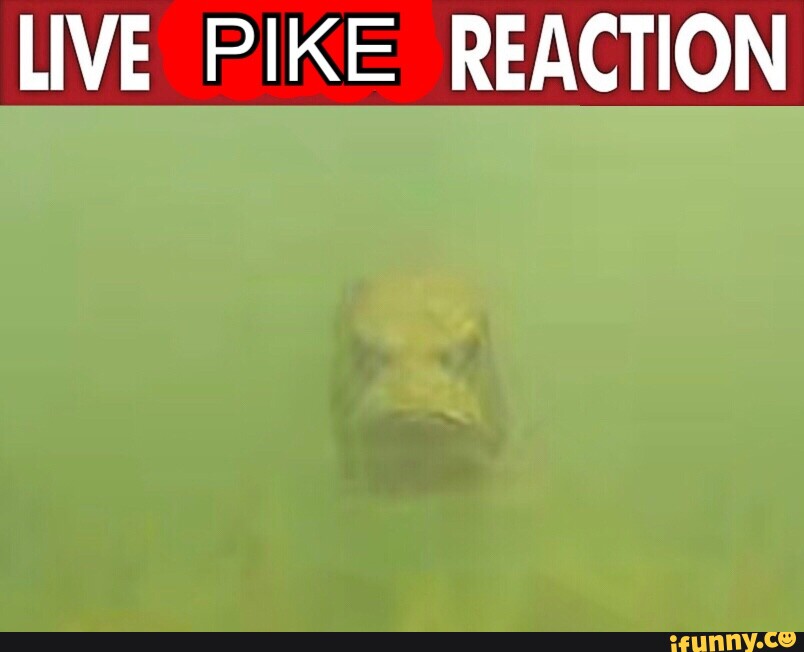 Video memes klGH2sVYA by QHatred - iFunny