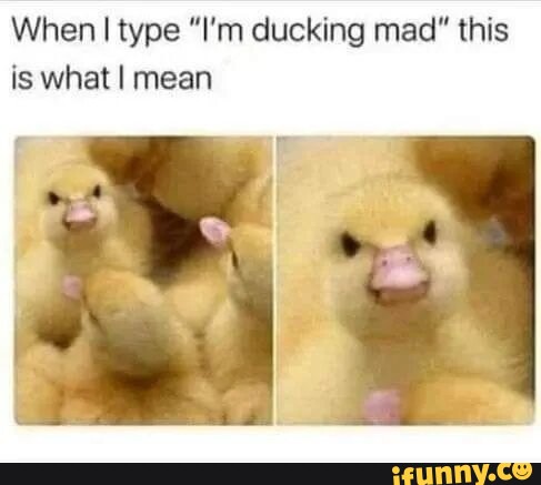 When I type "I'm ducking mad" this is what I mean - iFunny
