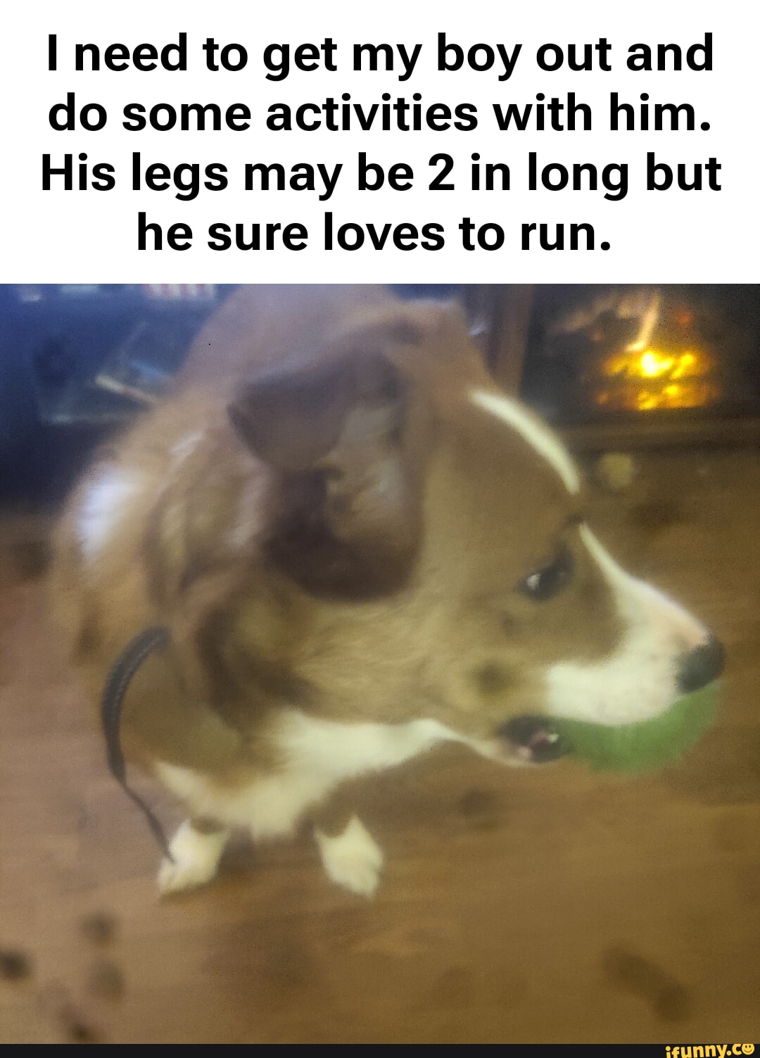 I need to get my boy out and do some activities with him. His legs may ...