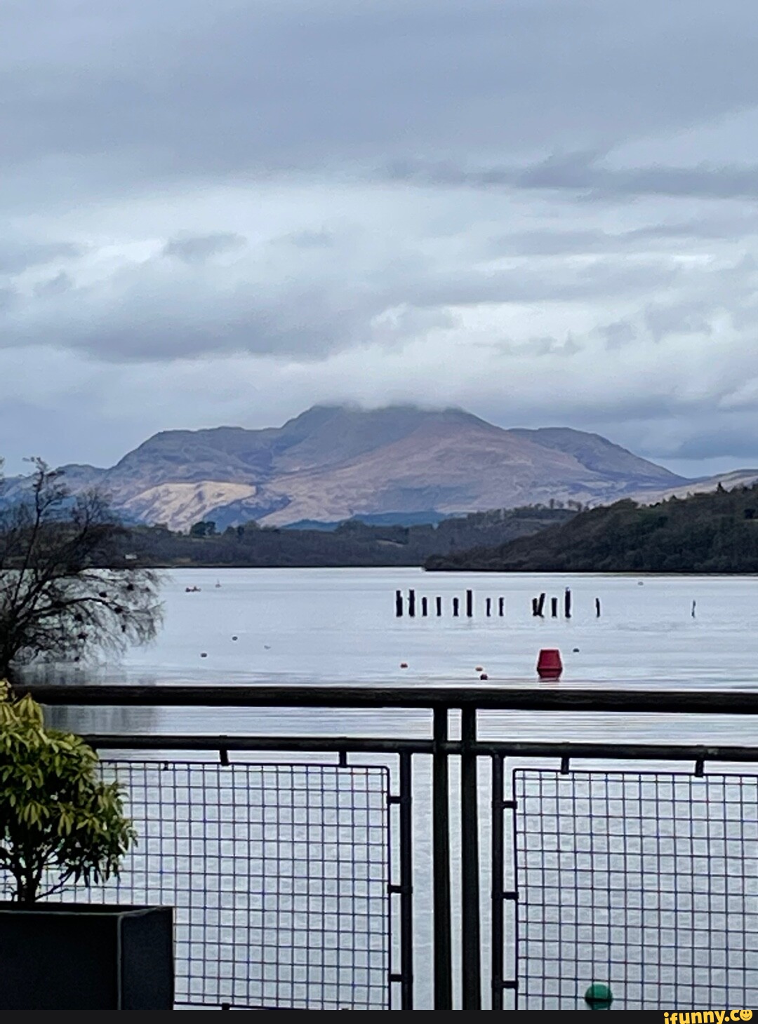 Sds memes. Best Collection of funny Sds pictures on iFunny