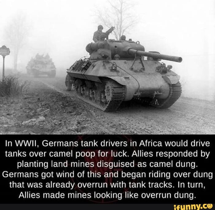 In WWII Germans tank drivers In Africa would drive tanks over camel ...