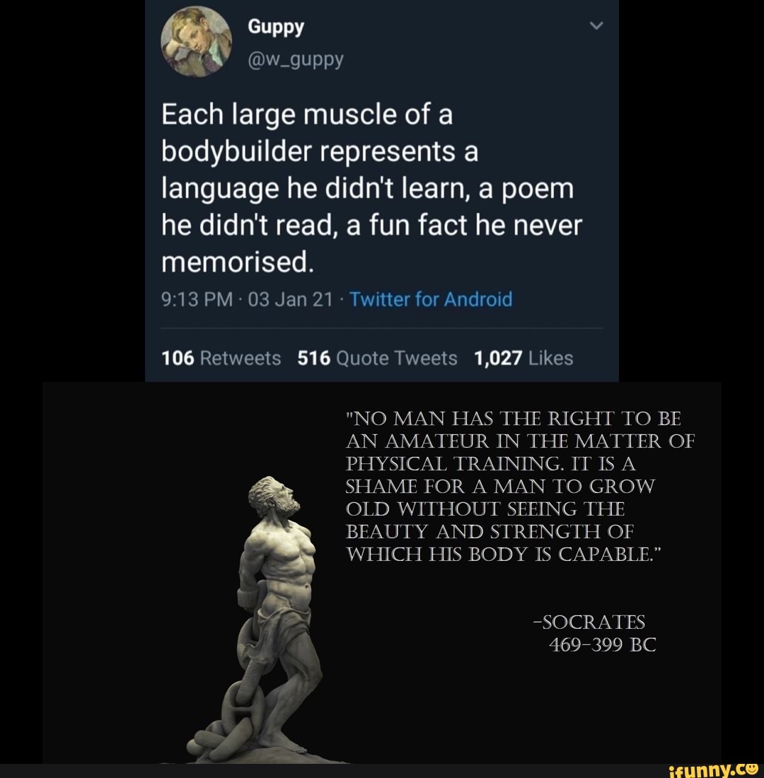 Guppy Each large muscle of a bodybuilder represents a language he didn ...