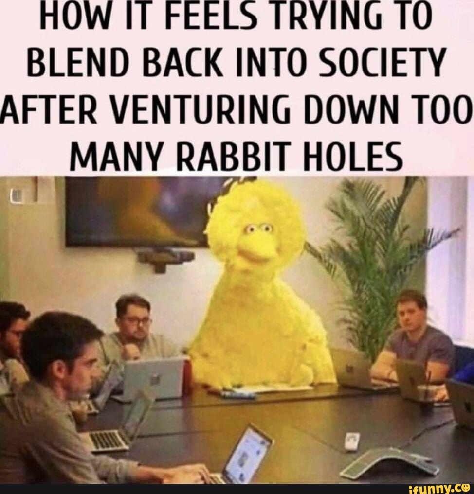 TikTOK pfootikitisa "How short is too shortinagirl?" - iFunny