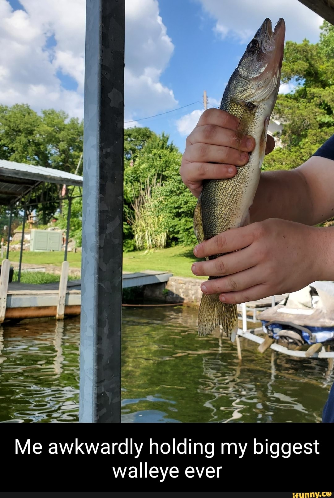 Walleye memes. Best Collection of funny Walleye pictures on iFunny