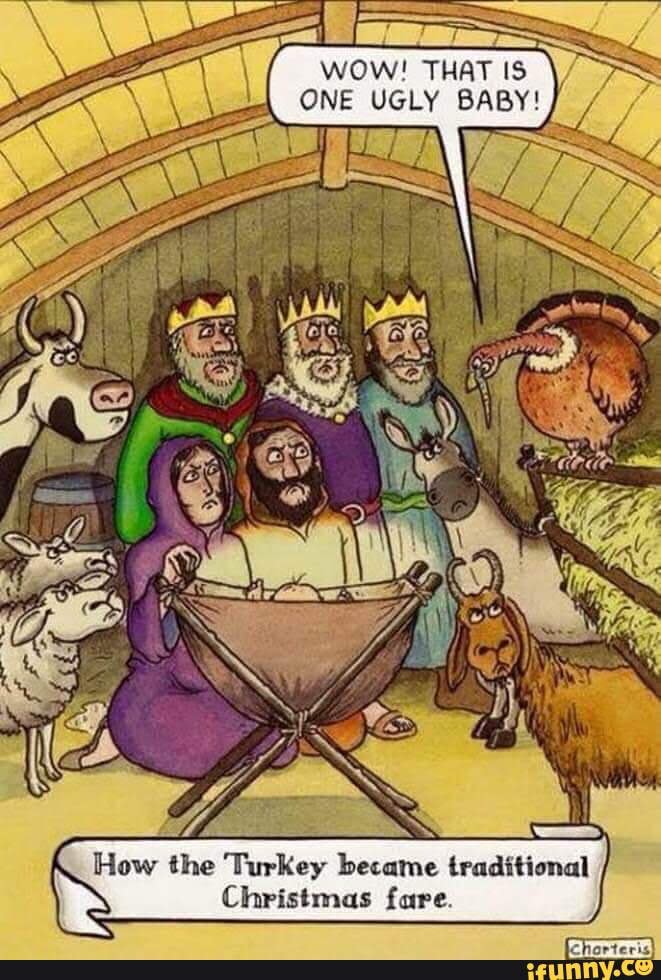 WOW! THAT IS ONE UGLY BABY! How the Turkey became traditional Christmas ...