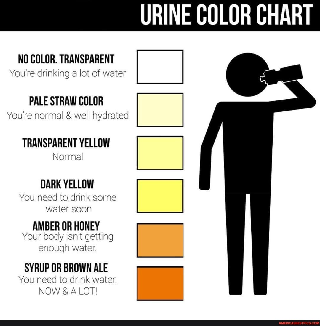URINE COLOR CHART NO COLOR. TRANSPARENT PALE STRAW COLOR You're normal ...