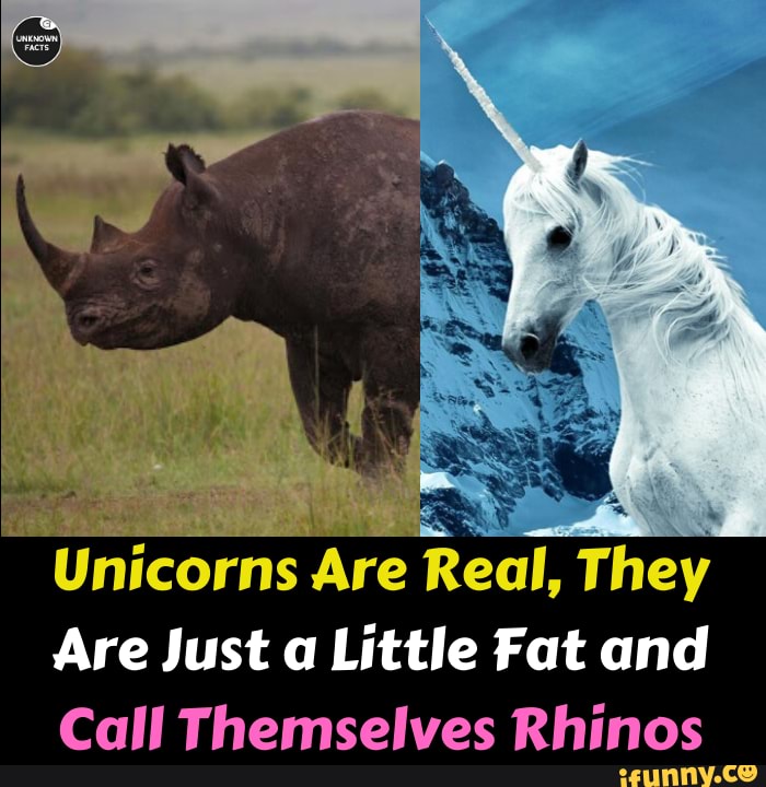 Unicorns Are Real, They Are Just Little Fat and Call hanneallwae - iFunny