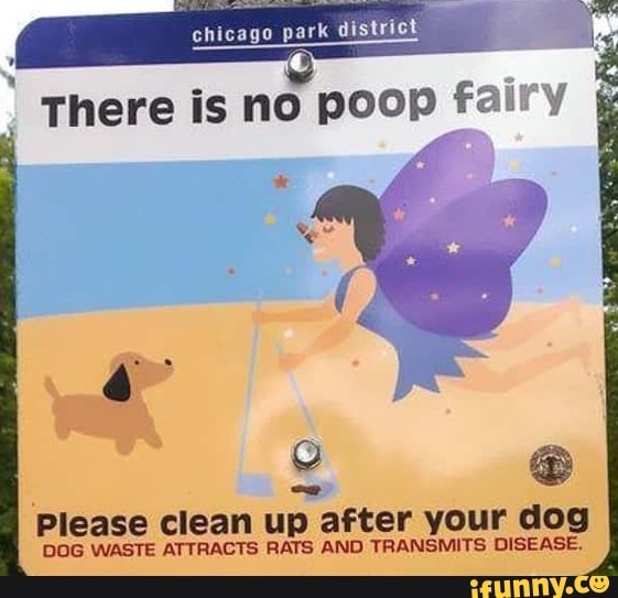 Chicago . There is no poop Fall I Please clean up after your dog DOG ...