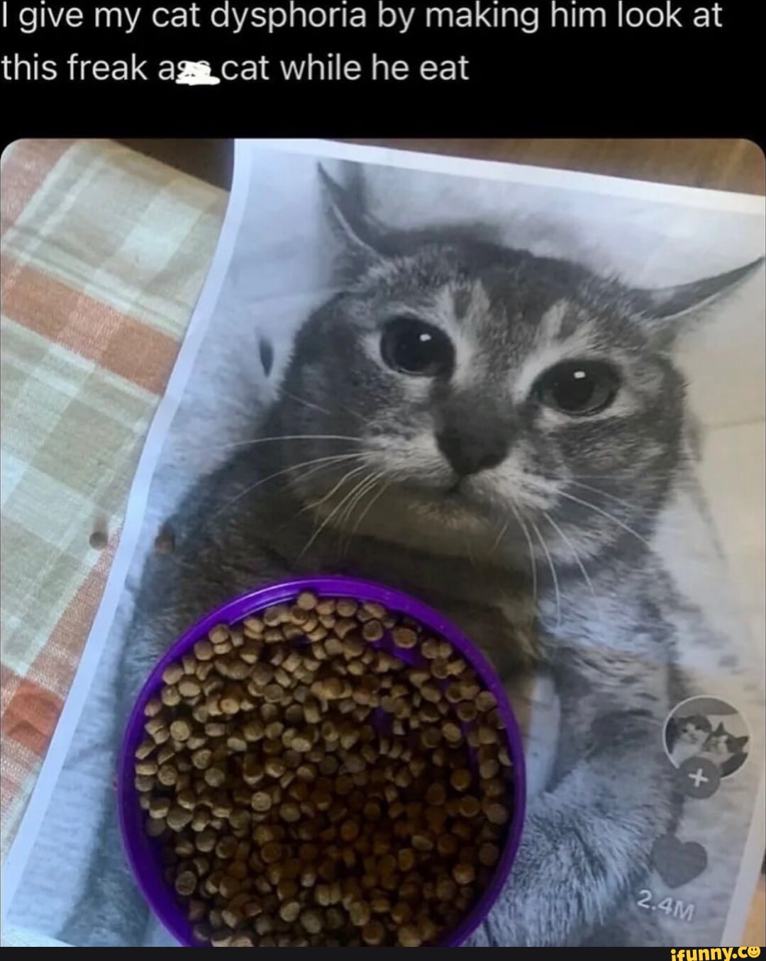 Picture memes xS7jNxJy6 by Acrobat__2014: 110 comments - iFunny