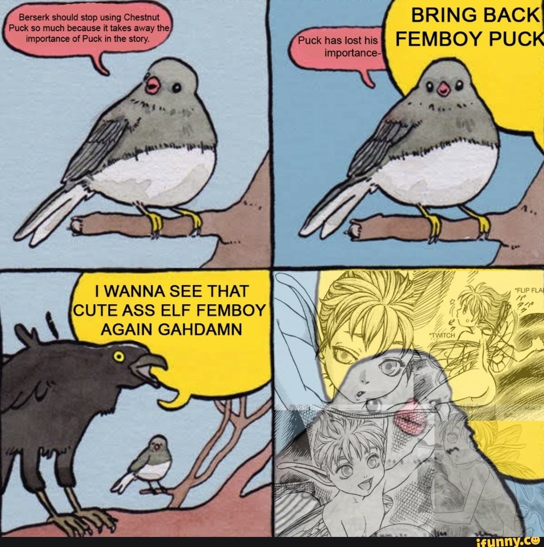 Pemboy memes. Best Collection of funny Pemboy pictures on iFunny