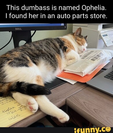 Ophelia Meme