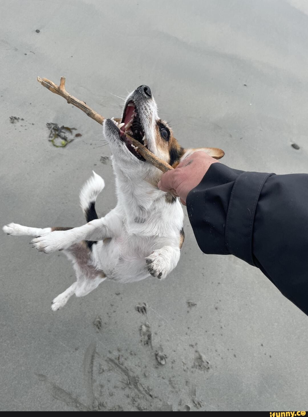 Yapper memes. Best Collection of funny Yapper pictures on iFunny