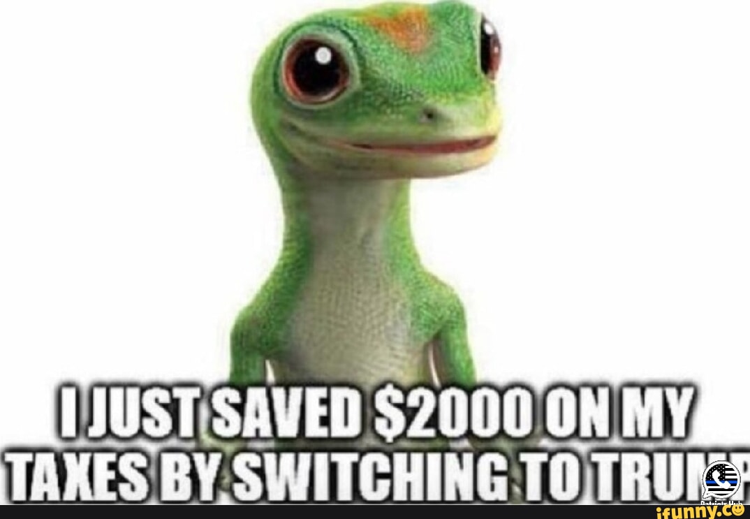 Trine memes. Best Collection of funny Trine pictures on iFunny