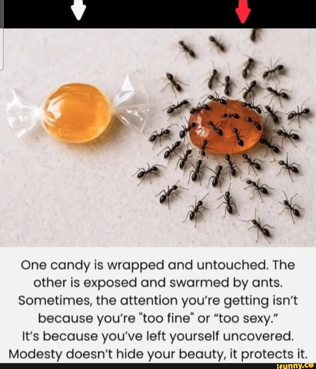 One candy is wrapped and untouched. The other is exposed and swarmed by ...