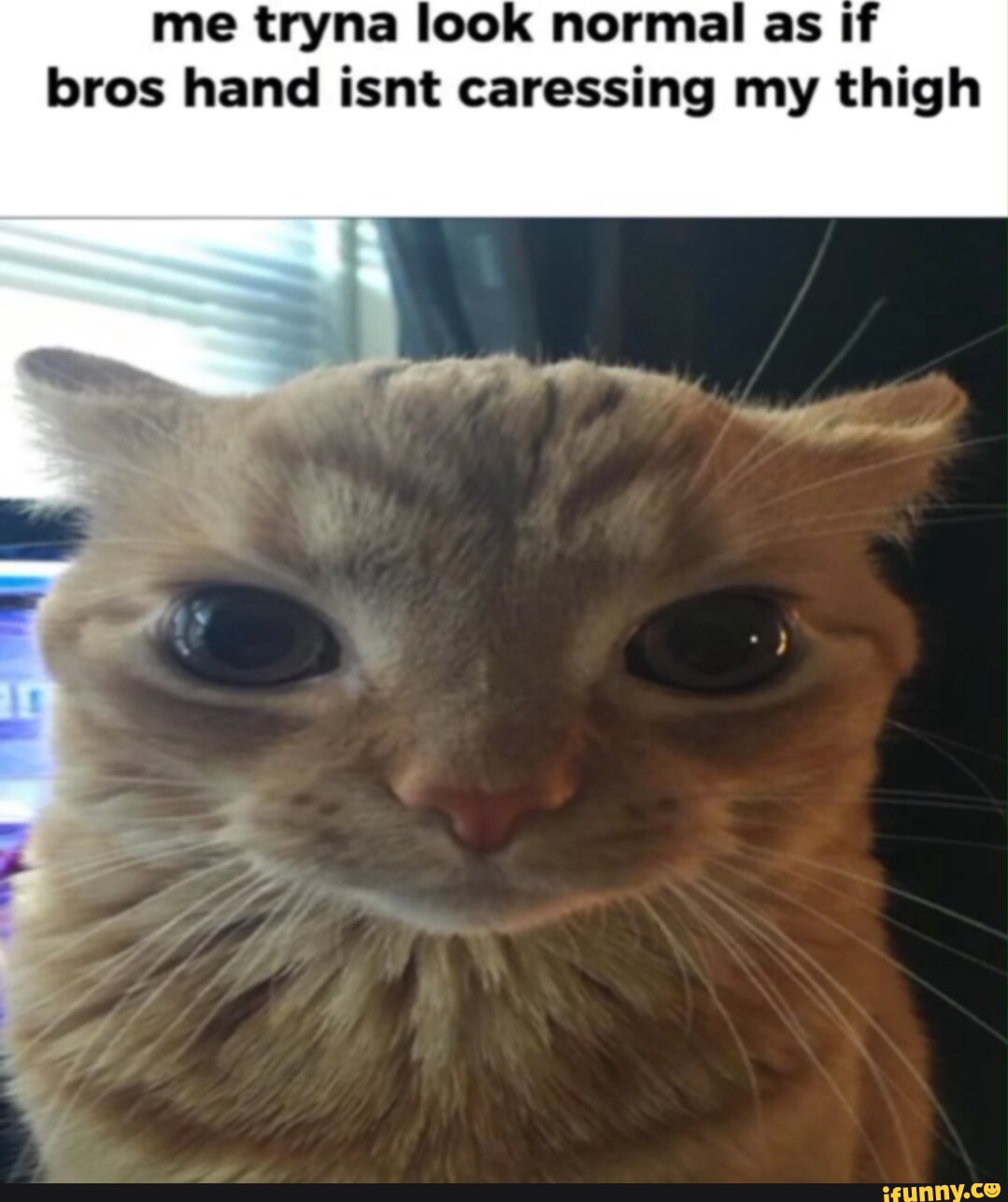 Me tryna look normal as if bros hand isnt caressing my thigh - iFunny