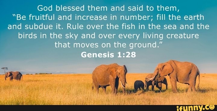 God blessed them and said to them, "Be fruitful and increase in number ...