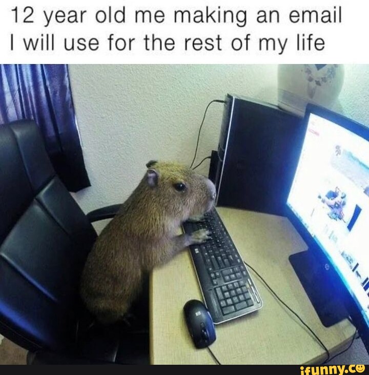 12 year old me making an email I will use for the rest of my life "id ...