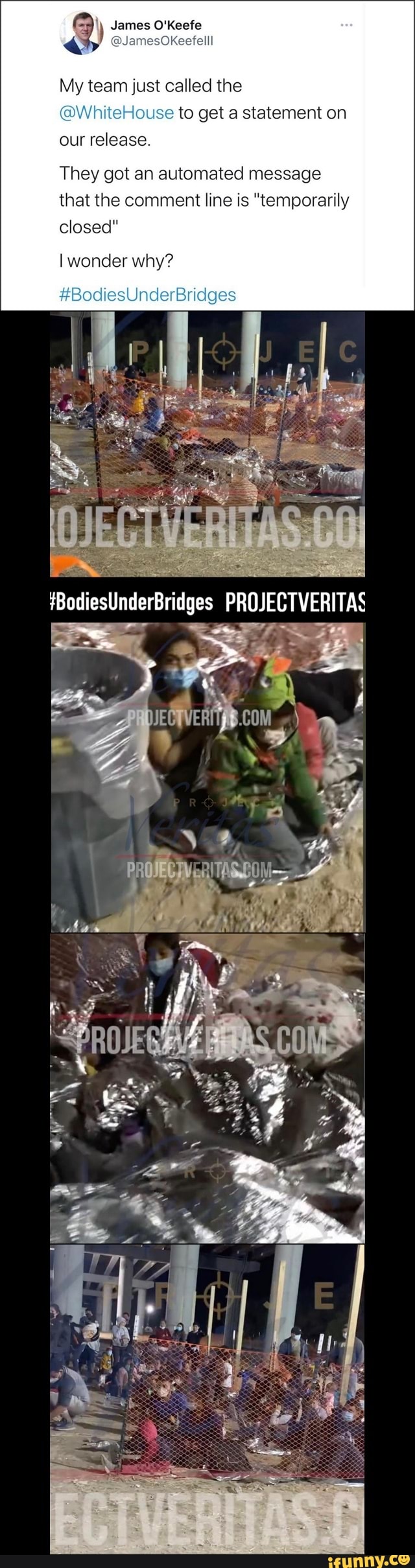 Project_veritas_action memes. Best Collection of funny Project_veritas ...