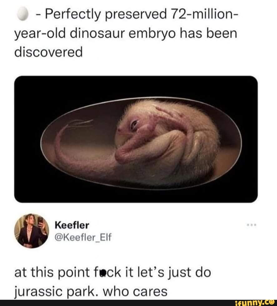 - Perfectly preserved 72-million- year-old dinosaur embryo has been ...