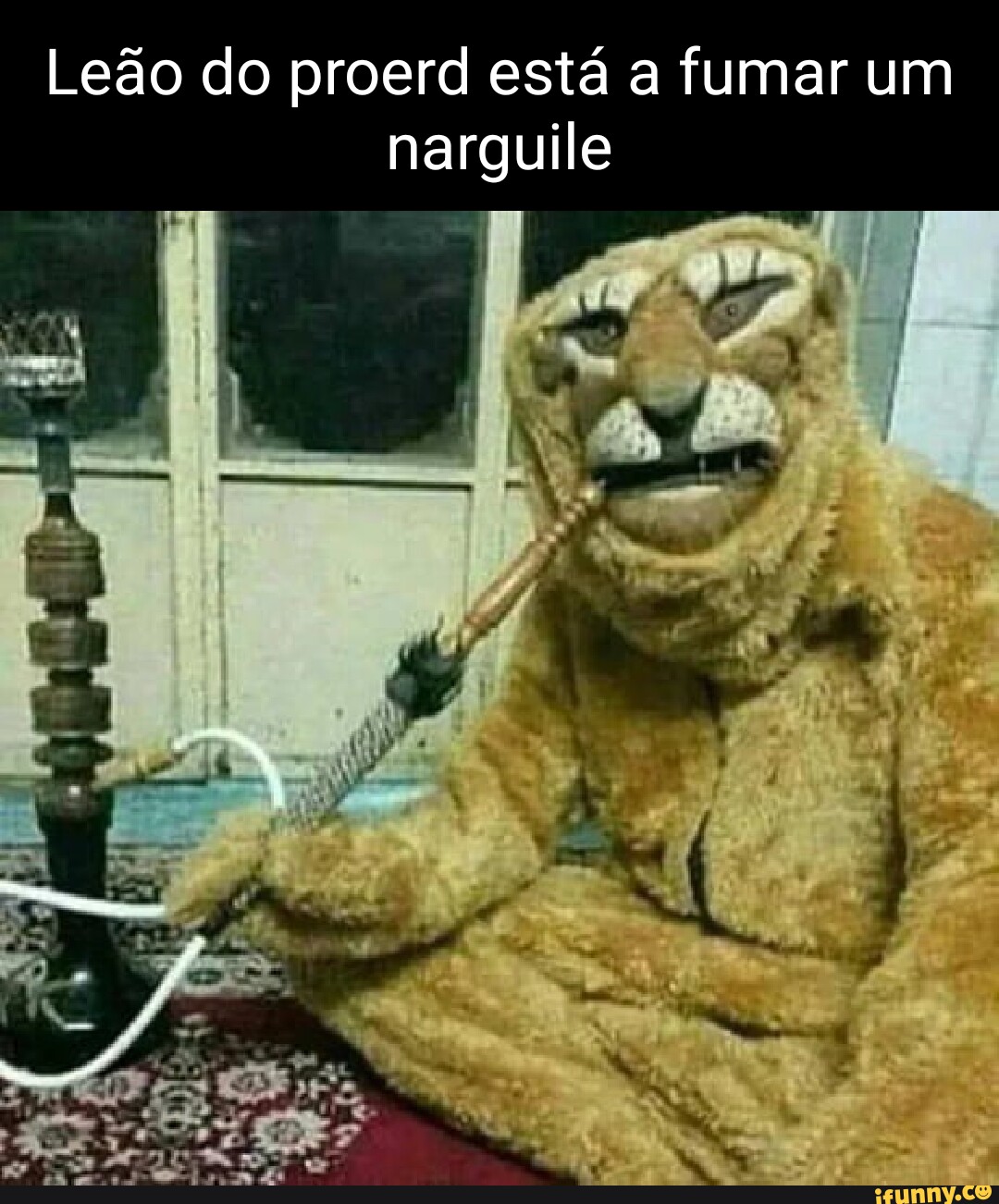 Leão do proerd está a fumar um narguile - iFunny Brazil