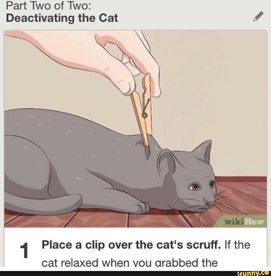 Part Two of Two: Deactivating the Cat I Place a clip over the cat's ...