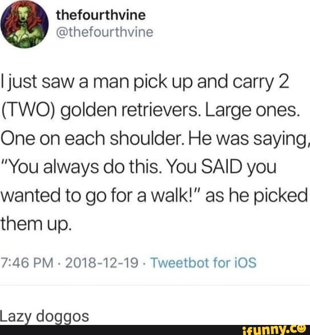 Shoulder memes. Best Collection of funny Shoulder pictures on iFunny