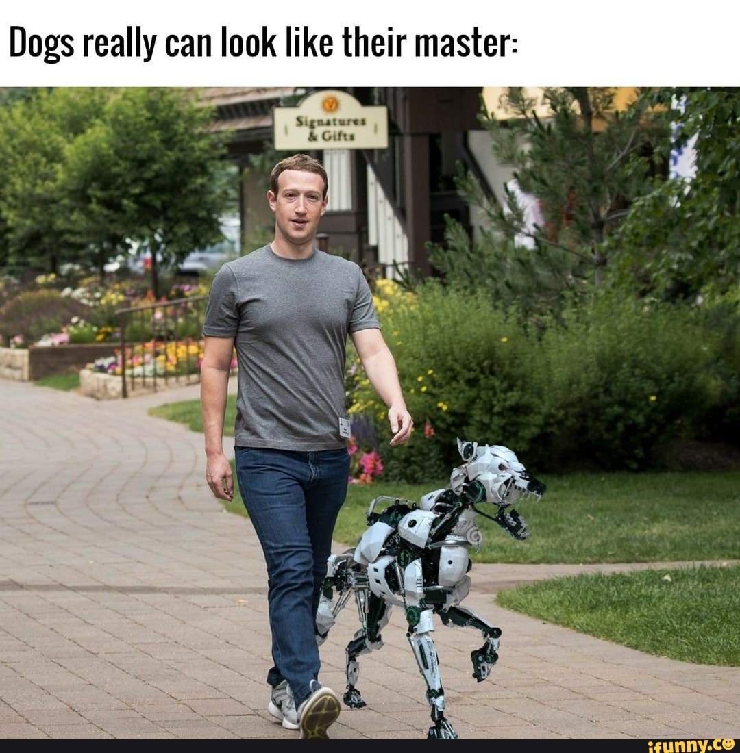 Dogs really can look like their master: - iFunny