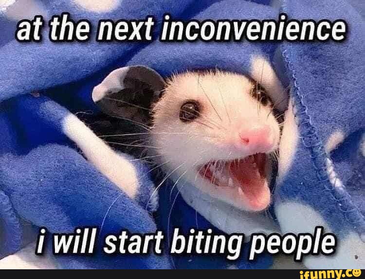 Memes de imagem v04kv4QJA por god3___ - seo.title