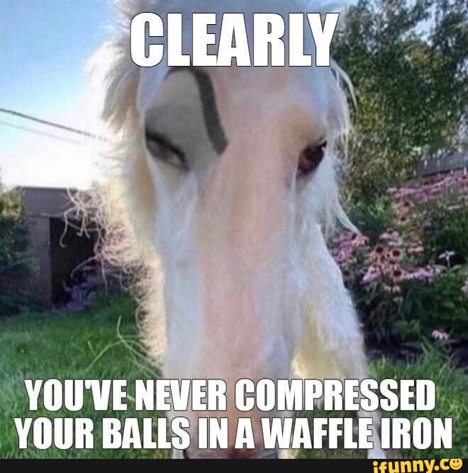 Compressed memes. Best Collection of funny Compressed pictures on iFunny