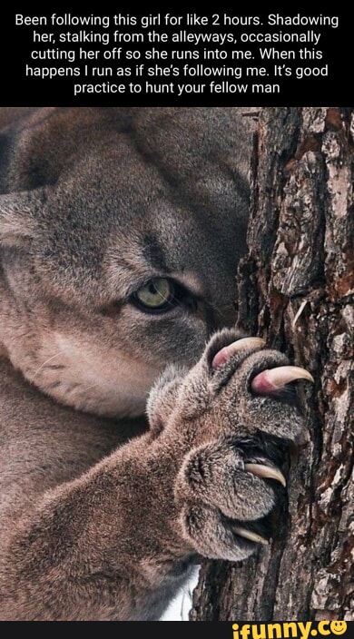 Shadowing memes. Best Collection of funny Shadowing pictures on iFunny