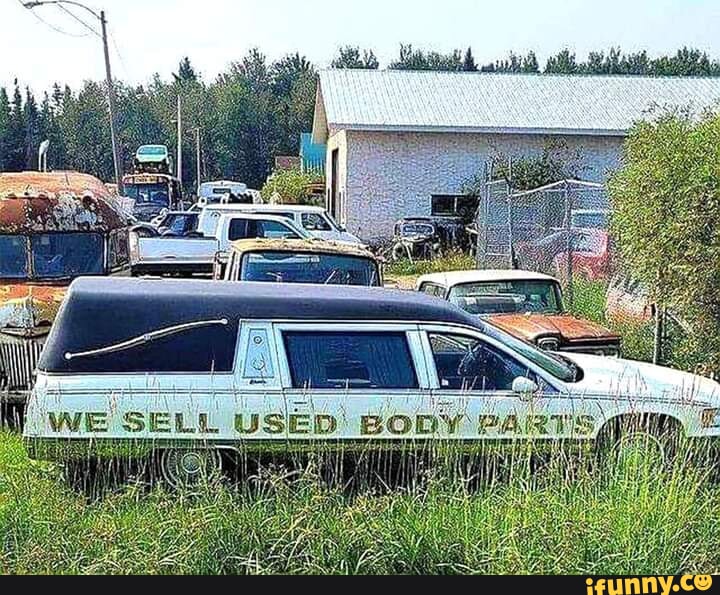 Funny_signs memes. Best Collection of funny Funny_signs pictures on iFunny