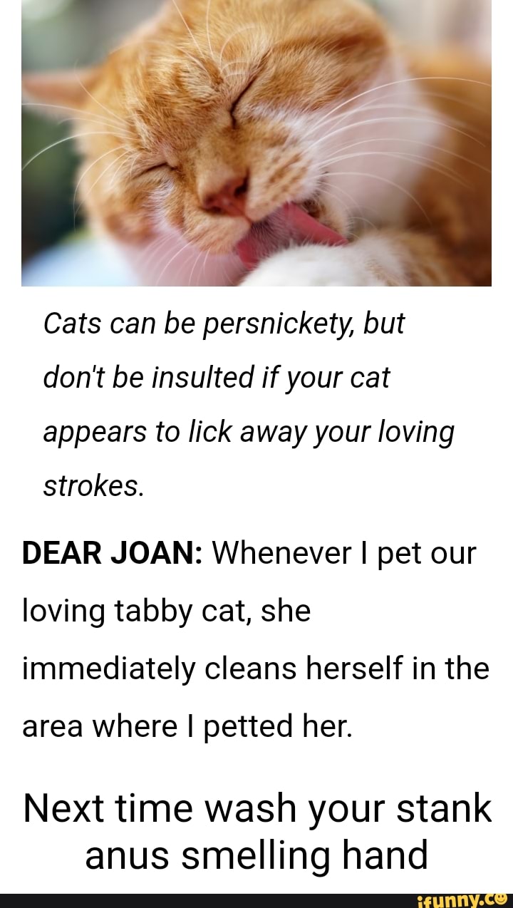 Persnickety memes. Best Collection of funny Persnickety pictures on iFunny